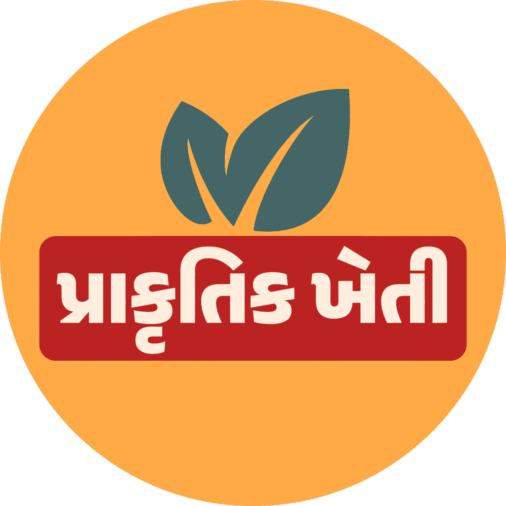 જીવામૃત કેવી રીતે બનાવવું, તેનો ઉપયોગ અને તેના ફાયદા શું છે?